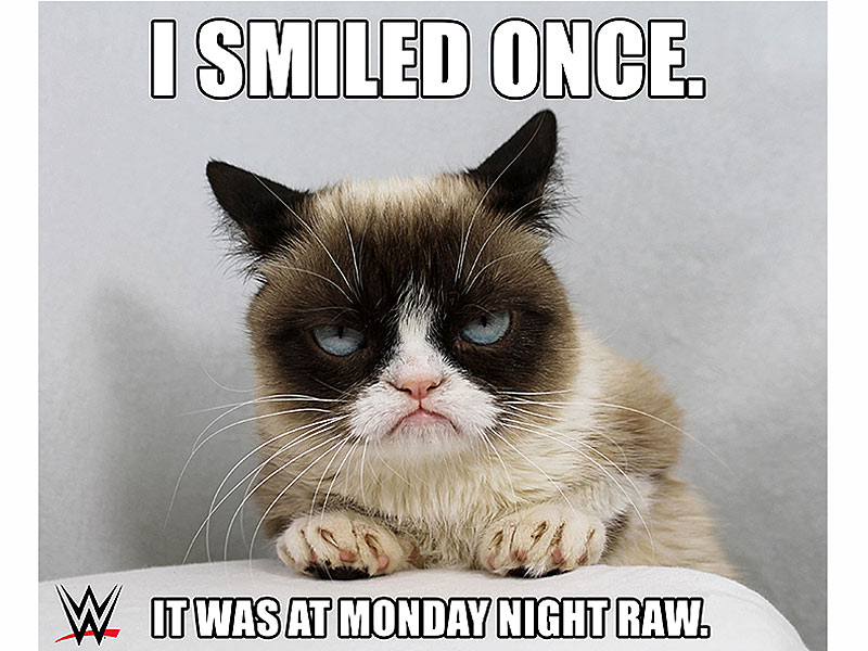 Christmas Grumpy Cat Quotes QuotesGram Christmas Grumpy Cat Quotes QuotesGram
