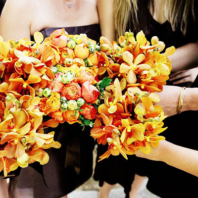 Heidi Mayne - JungleKey.com Wiki